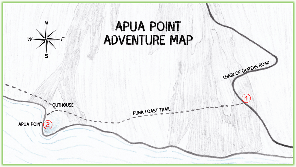 Apua Point Adventure Guide - Epic Trip Adventures
